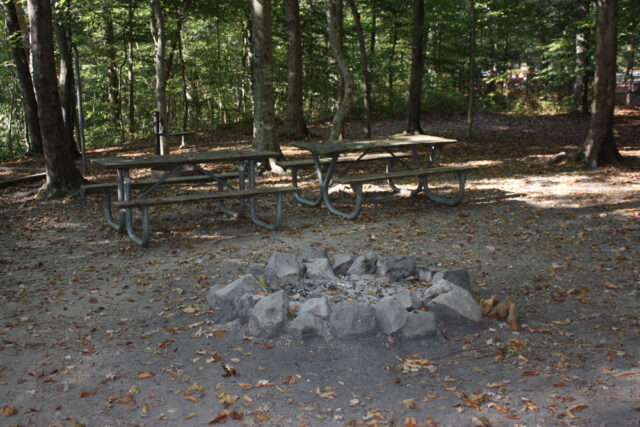 Chippokes Plantation State Park Review - Travel Trail Sail