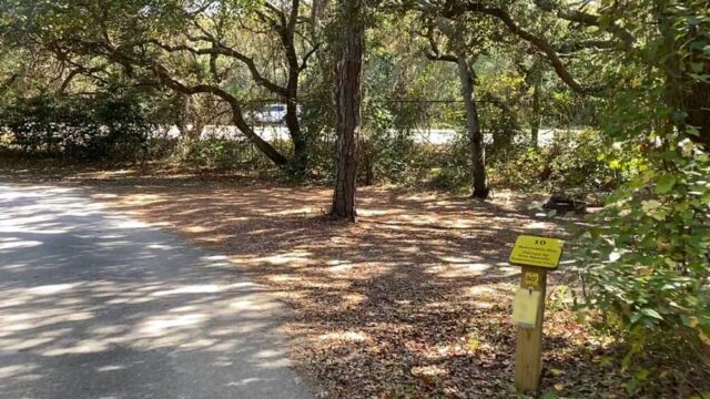 First Landing State Park Review - Travel Trail Sail