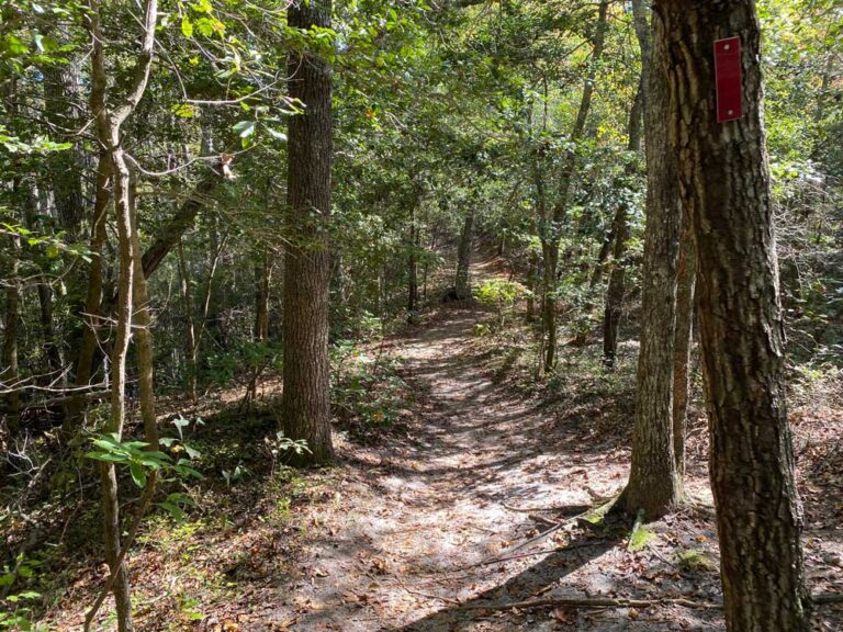 First Landing State Park Review - Travel Trail Sail