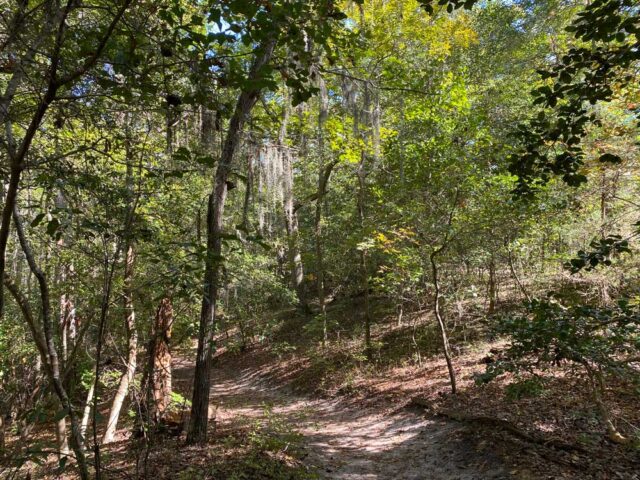 First Landing State Park Review - Travel Trail Sail