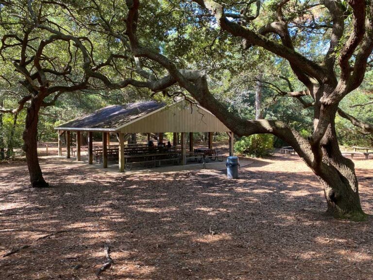 First Landing State Park Review - Travel Trail Sail