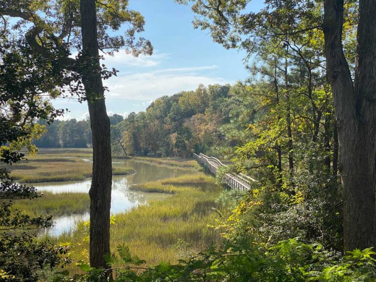 SummerWind Vineyard Review - Travel Trail Sail