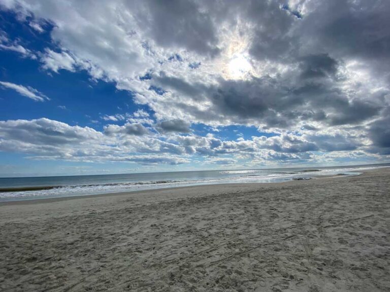 Huntington Beach State Park Review - Travel Trail Sail