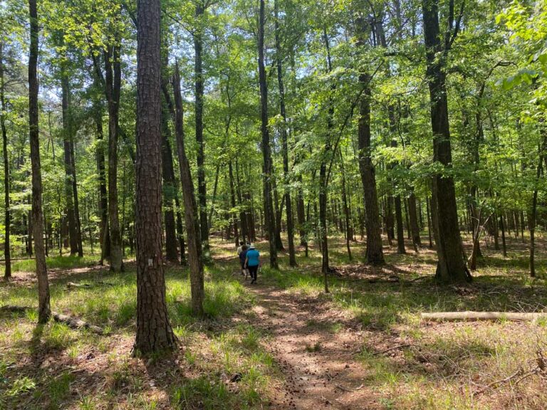 Mistletoe State Park Review - Travel Trail Sail